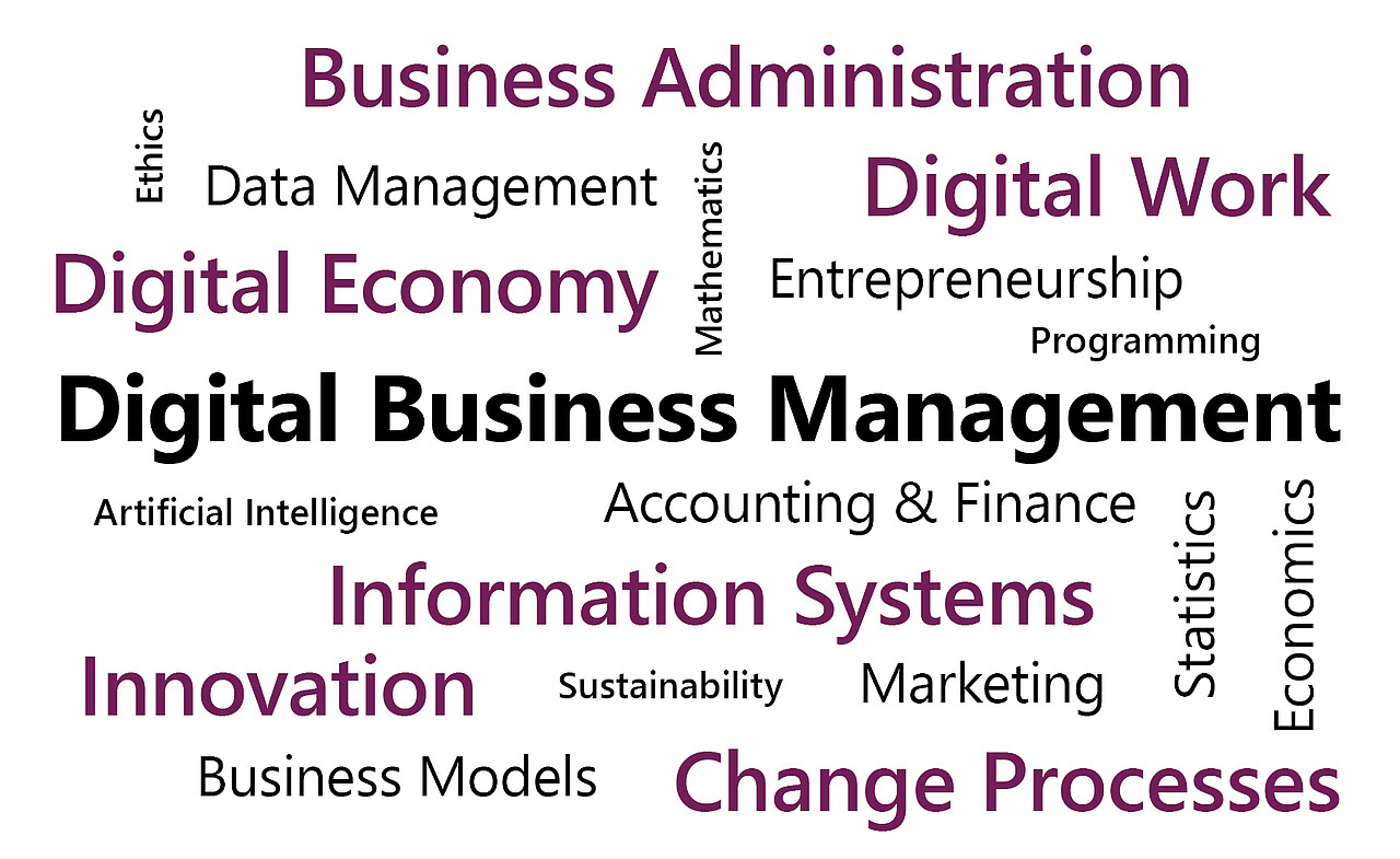 Digital Business Management: Studies: University of Hohenheim