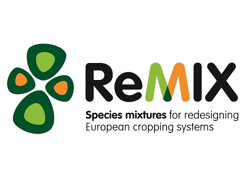 University of Hohenheim